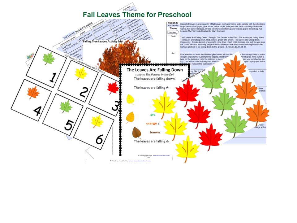 Fall Leaves Preschool Theme Resource